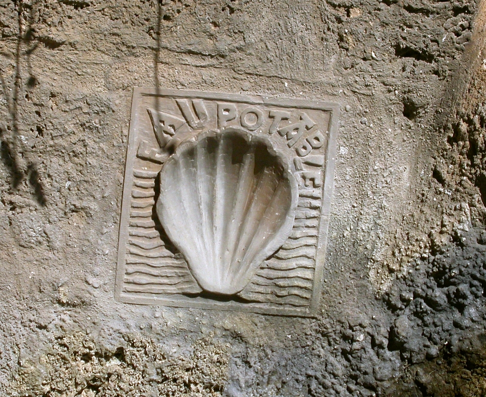 New MEMSO Shell projects underway! | MEMSO Shell